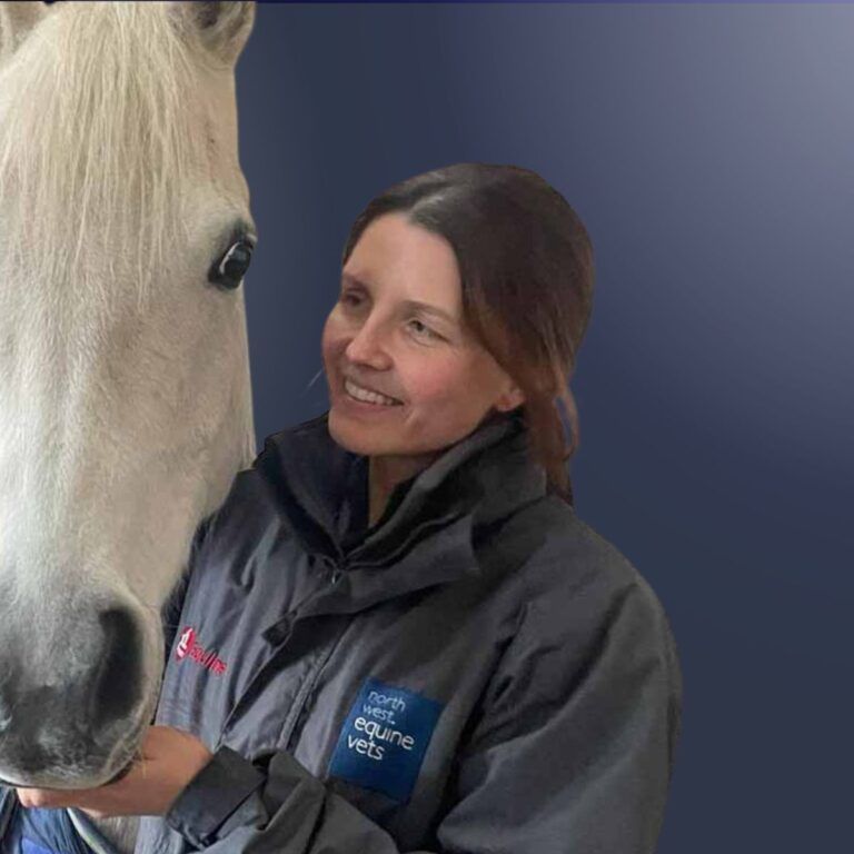 Julie Gibson – RCVS Knowledge